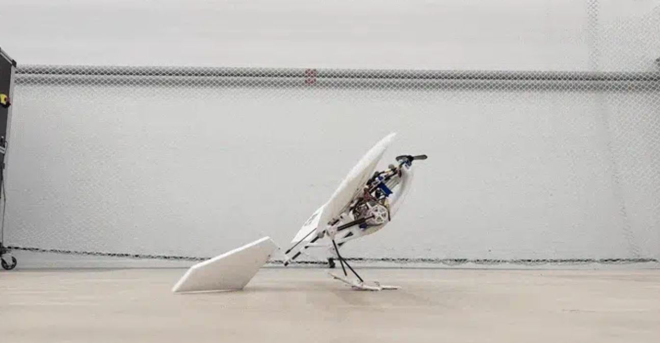 The Future of Flight: Bird-Inspired Drones | Global Drone Conference ...